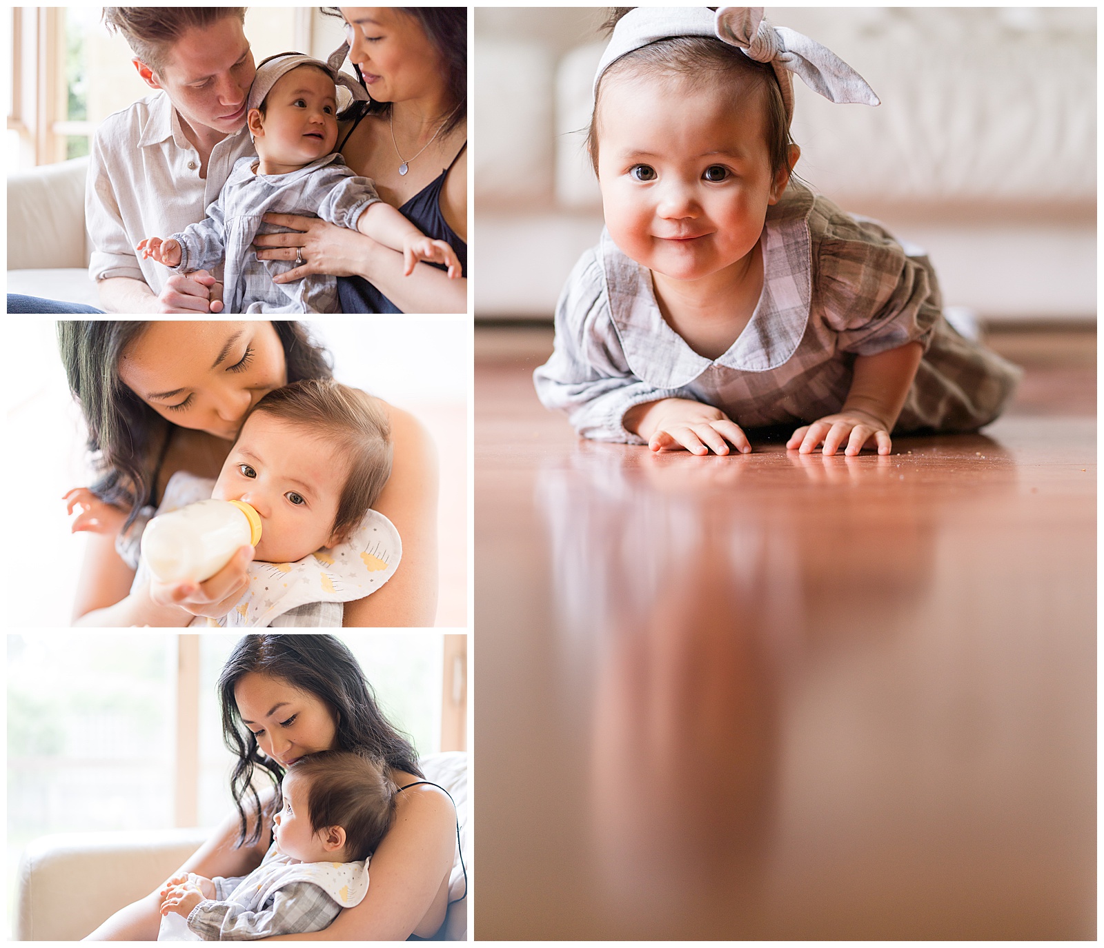 Family photos for Sam, Tink and Charlie - markandanncilla.com